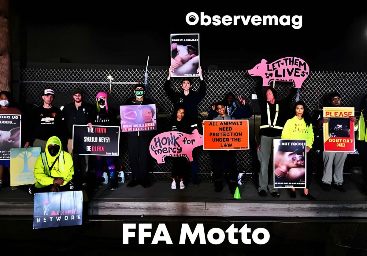 The Heart of the Harvest: A Comprehensive Guide to the FFA Motto